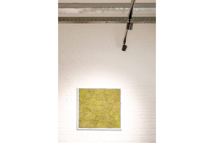 The Reference, un'agenzia digitale belga specializzata in consulenza di marketing, brilla più ...